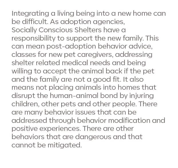 The responsibilities of Socially Conscious Shelters : Socially ...